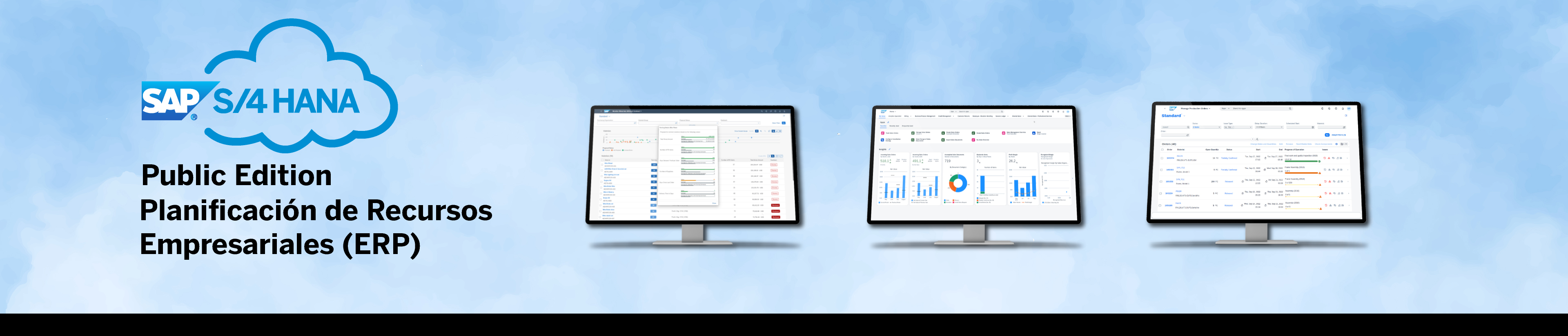 SAP S/4 HANA Cloud Public Edition