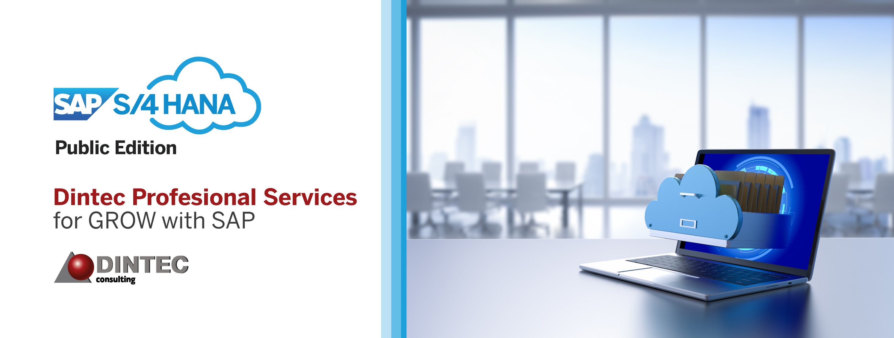 Dintec Professional Services For GROW with SAP